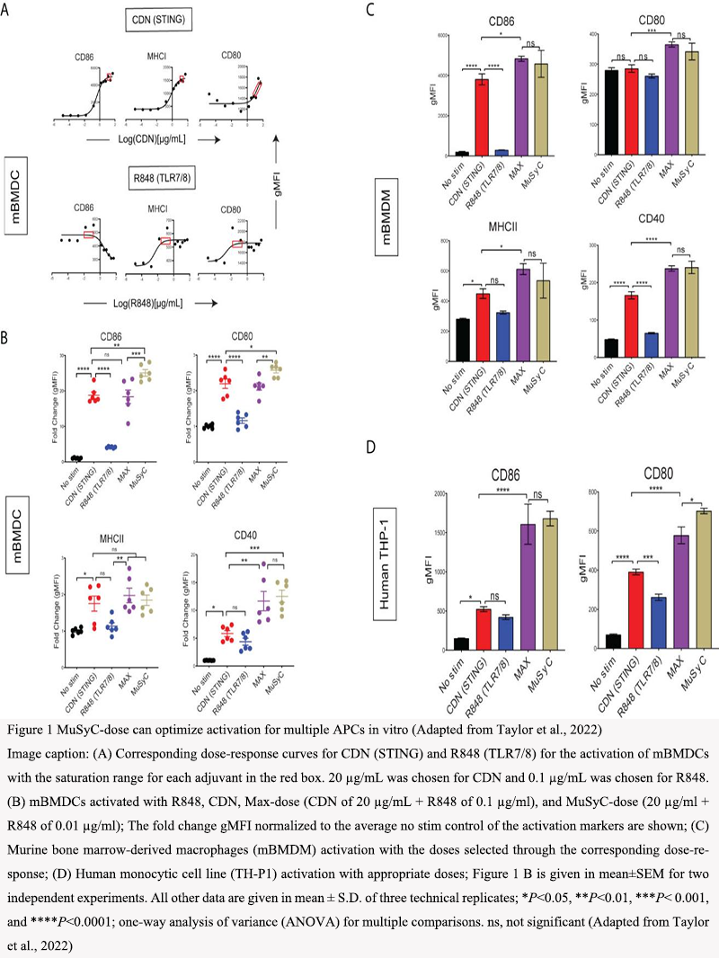 The Role of Adjuvants in Enhancing Cancer Vaccine Efficacy | Liu ...